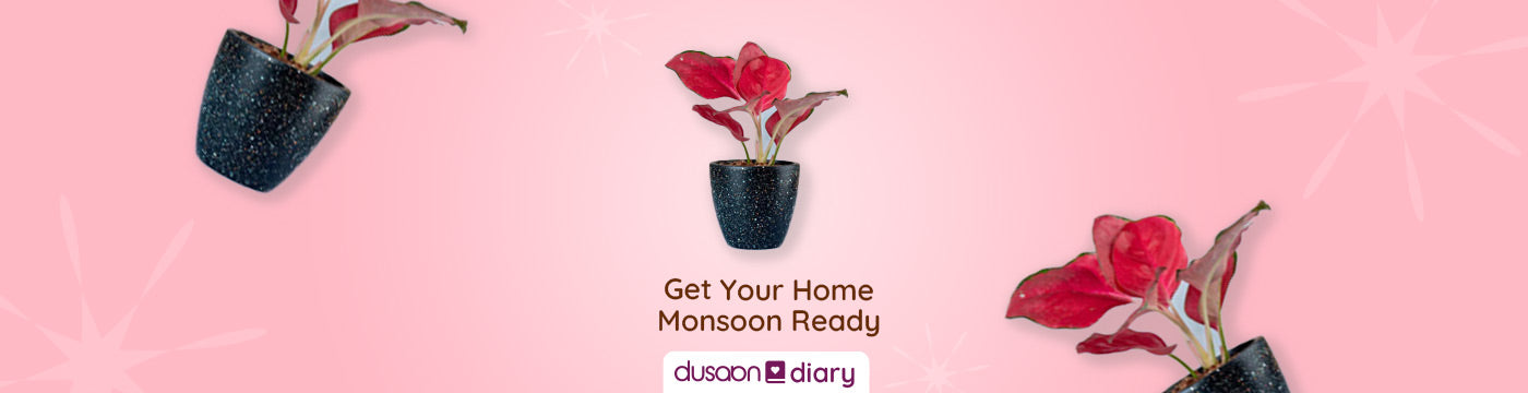 5 Ways To Get Your Home Monsoon Ready | Dusaan